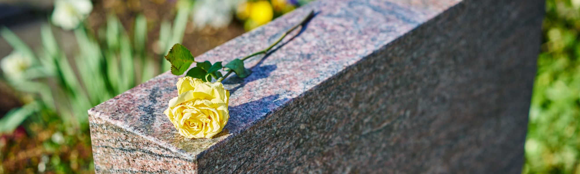 Our Lady of Sorrows Parish, Etobicoke - Our Lady of Sorrows Parish ...